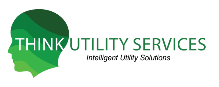 Think Utility Services – Somebody Cares Tampa Bay